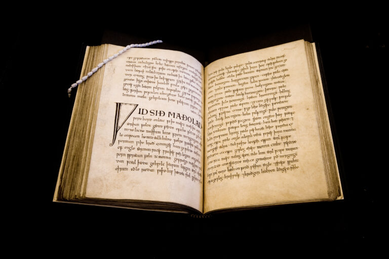 Science/STEM | Exeter Cathedral