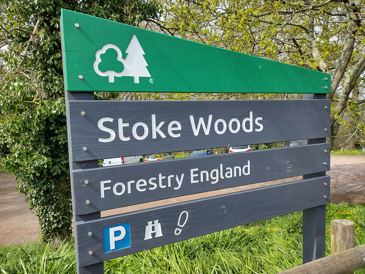 Earth Day: Stoke Woods | Exeter Cathedral