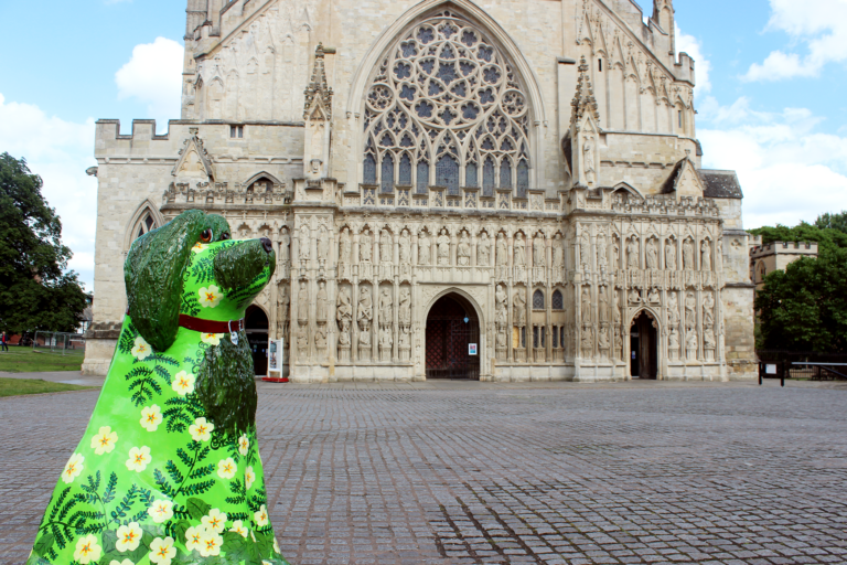 Events at Exeter Cathedral | What's On in Exeter | Exeter Events