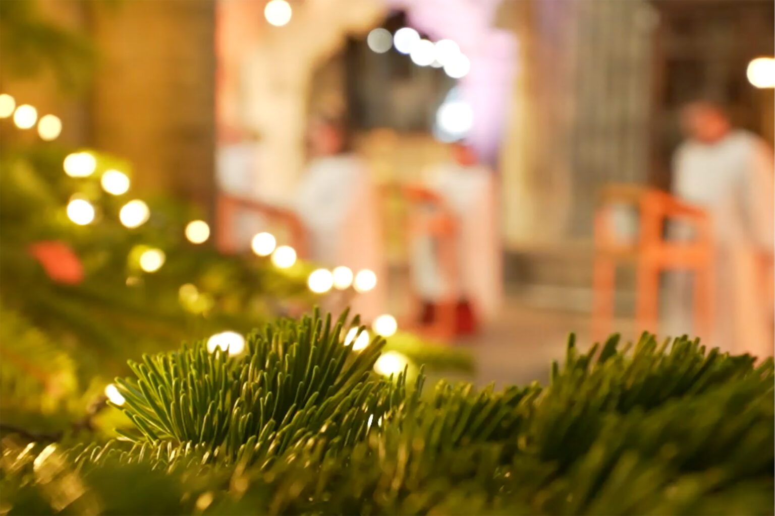 Events at Exeter Cathedral | What's On in Exeter | Exeter Events