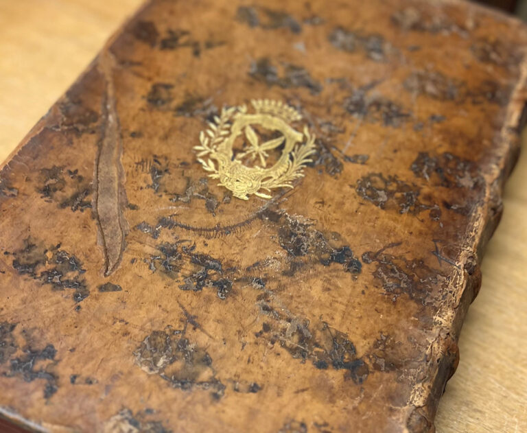 From the Library: More Cats at The Cathedral | Exeter Cathedral