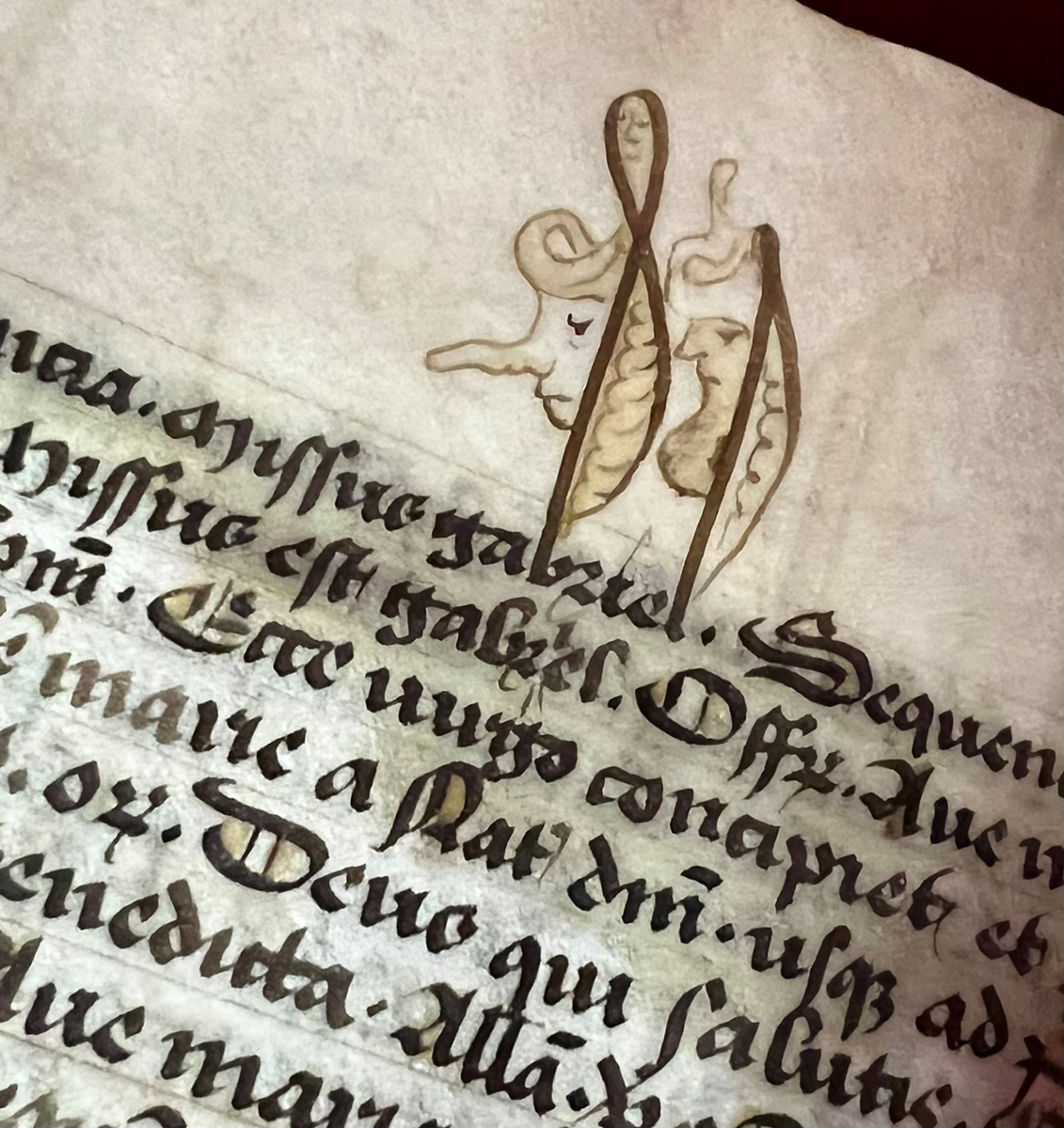 Doodles and Decorations | Exeter Cathedral
