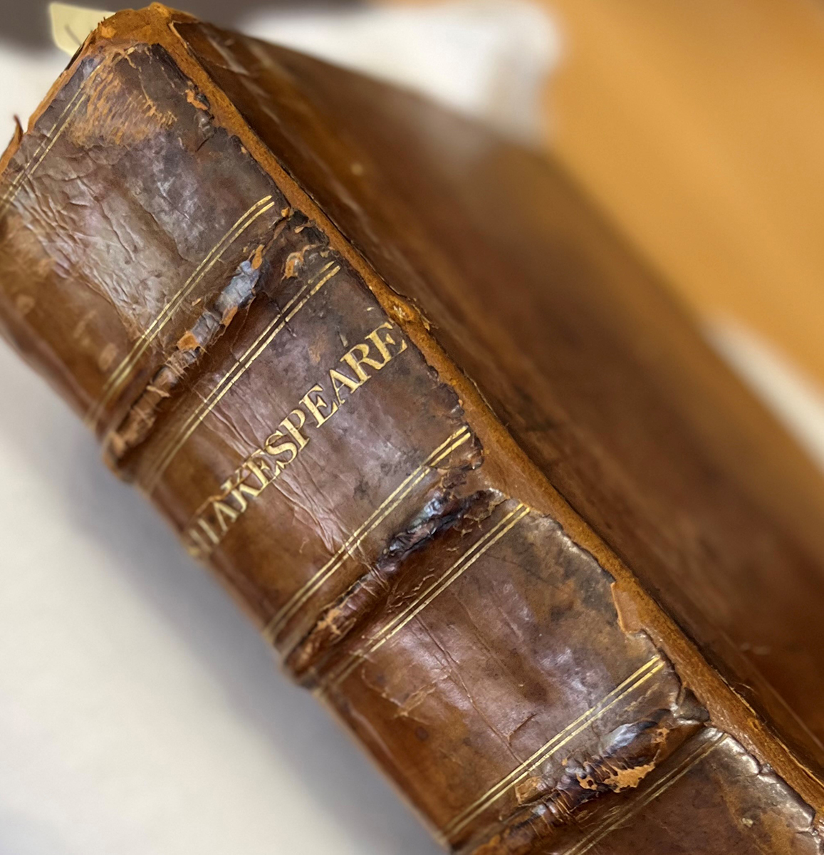 Bookbinding Basics | Exeter Cathedral