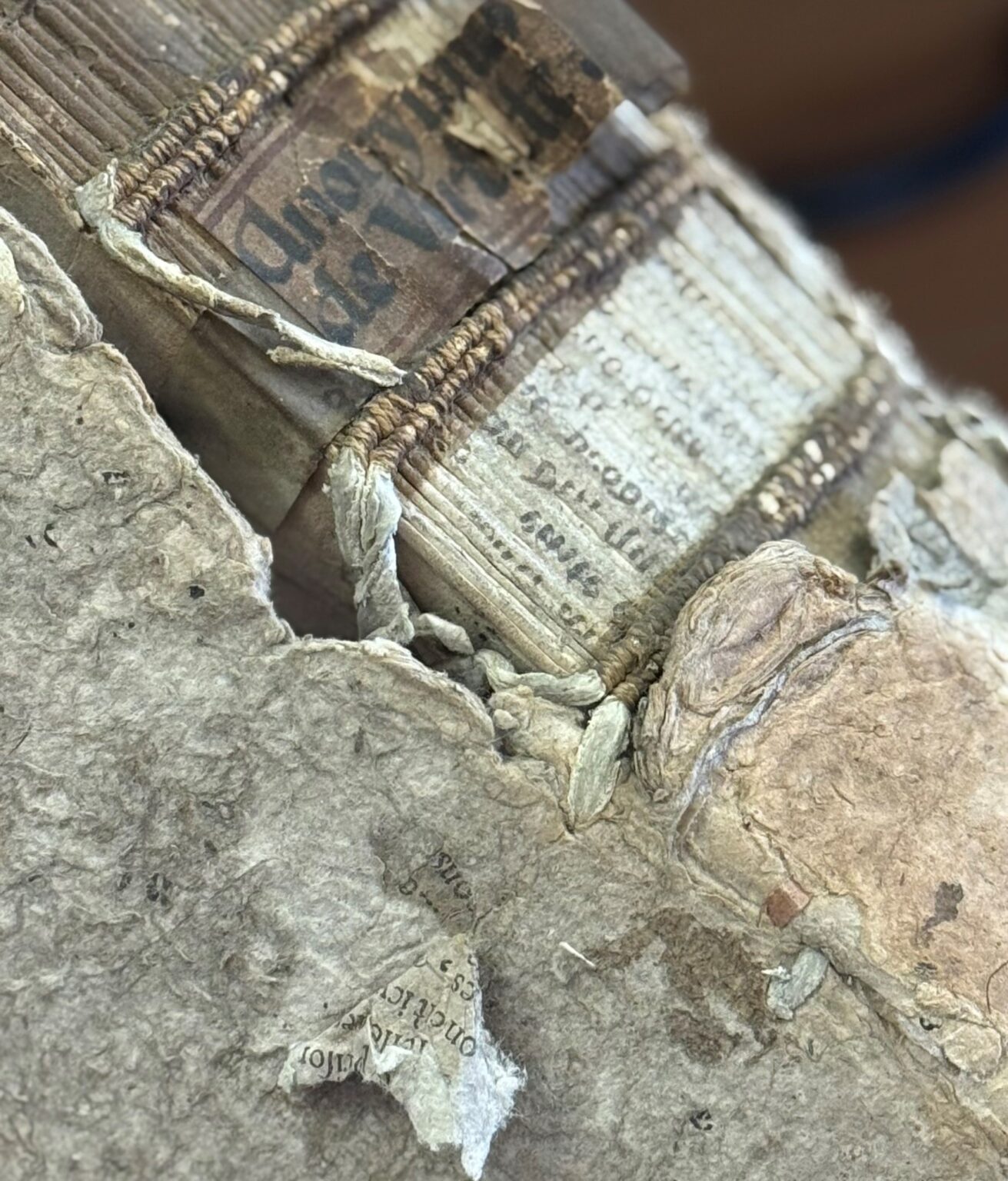 Under the Skin: Peeling Back the Layers of Old Books | Exeter Cathedral