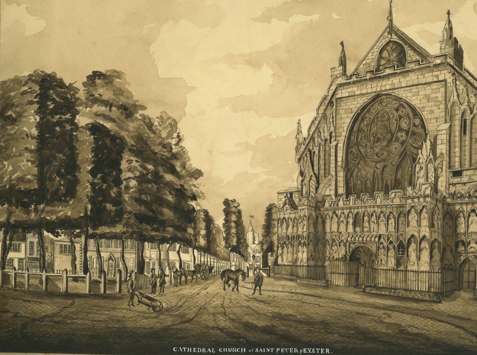 Library & Archives In Focus: Trees | Exeter Cathedral